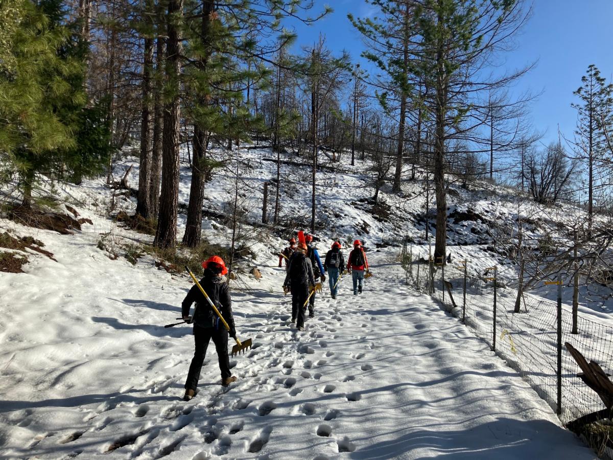 2025 WSER March Runner Update