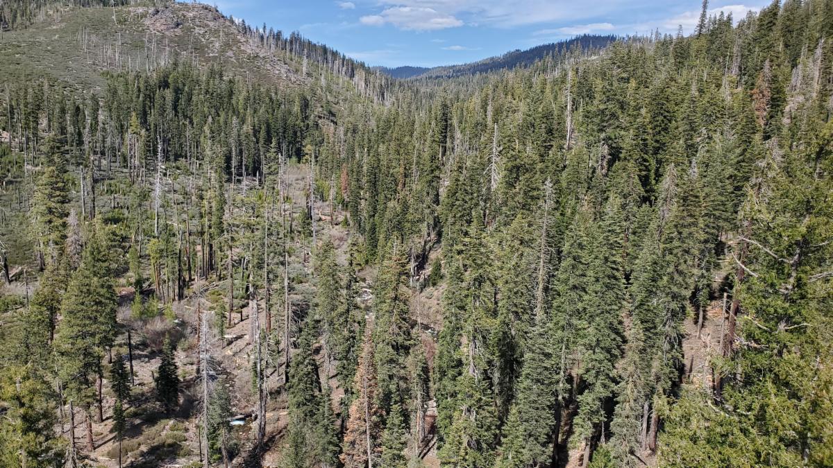 2022 WSER Final Runner Update