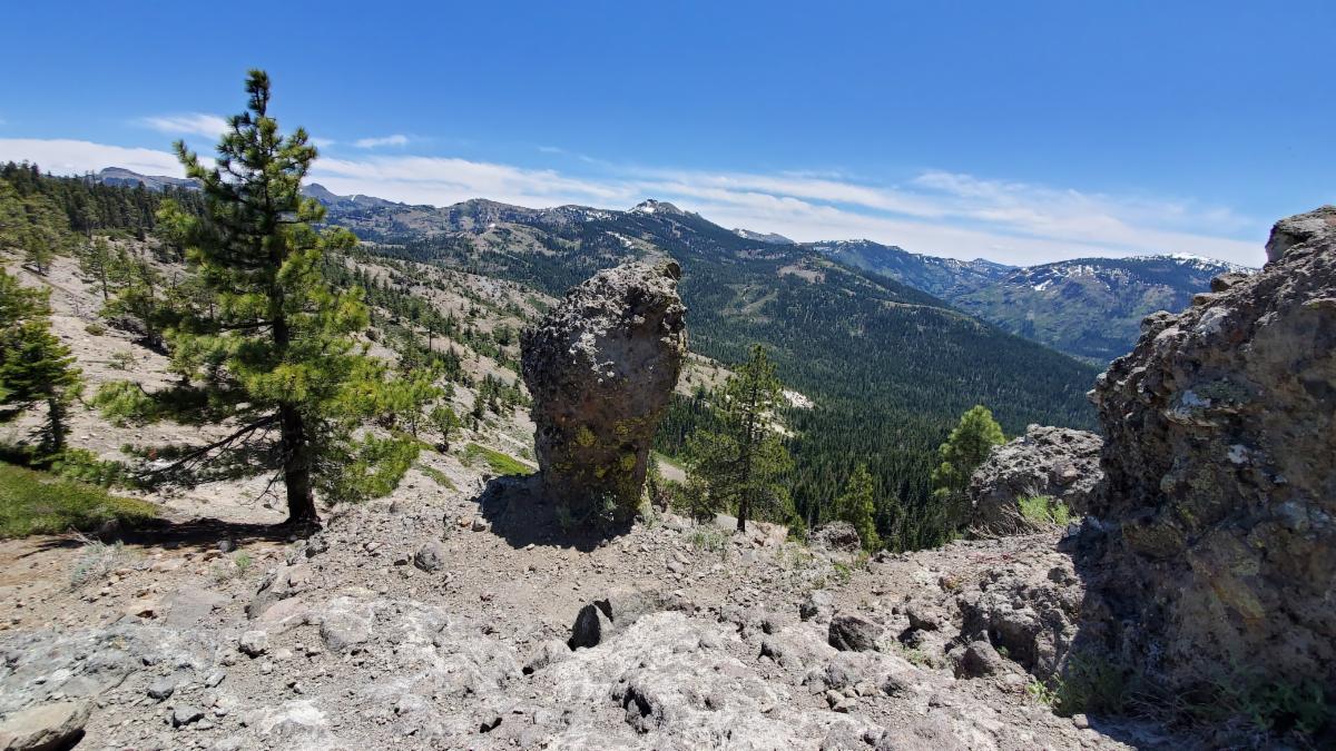 2021 WSER First Runner Update