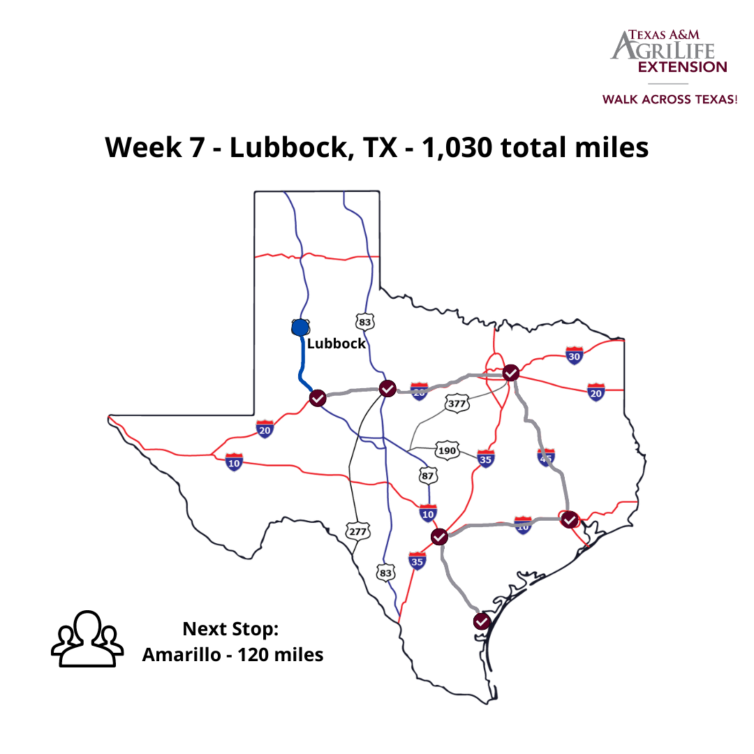Congratulations on completing week 7 of Walk Across Texas!