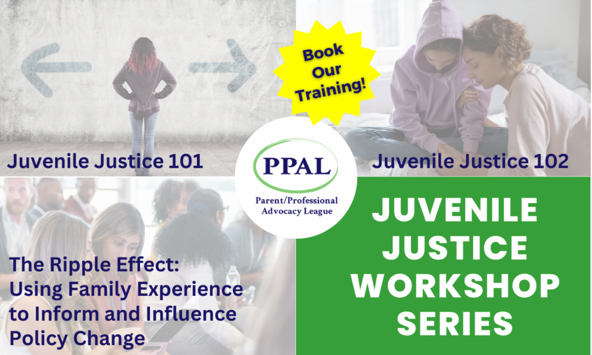 Juvenile Justice Workshop Series