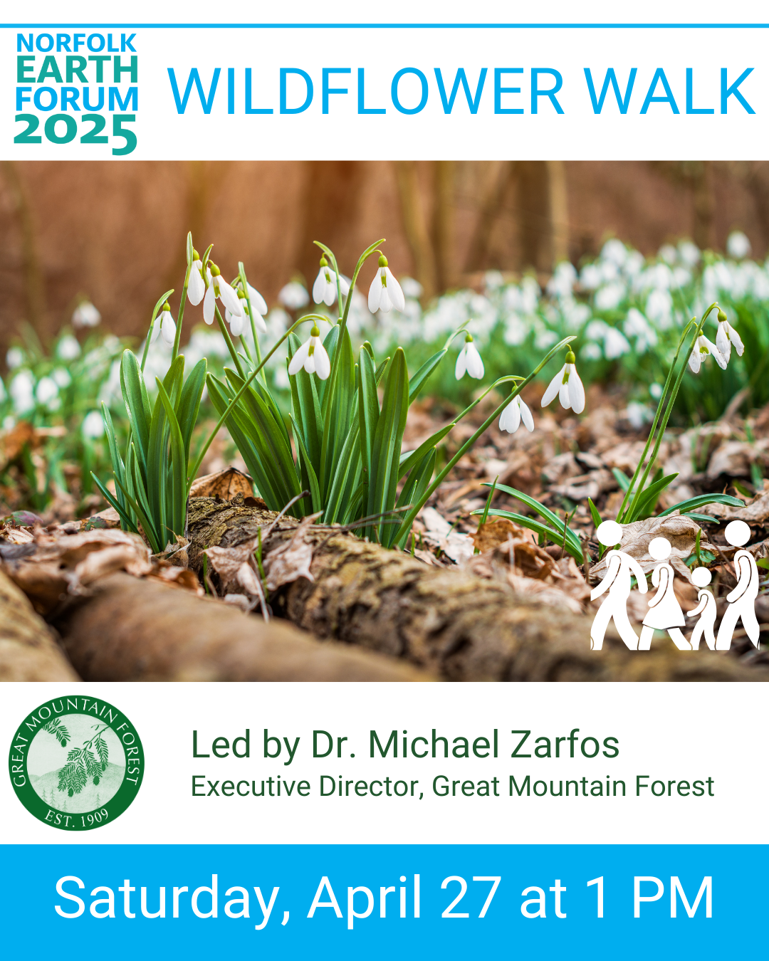 Spring Ephemeral Wildflowers Walk