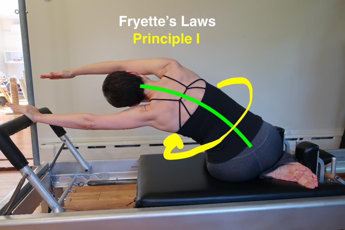 In-Person Workshops and Training, More Pay-What-You-Can Workouts with ...