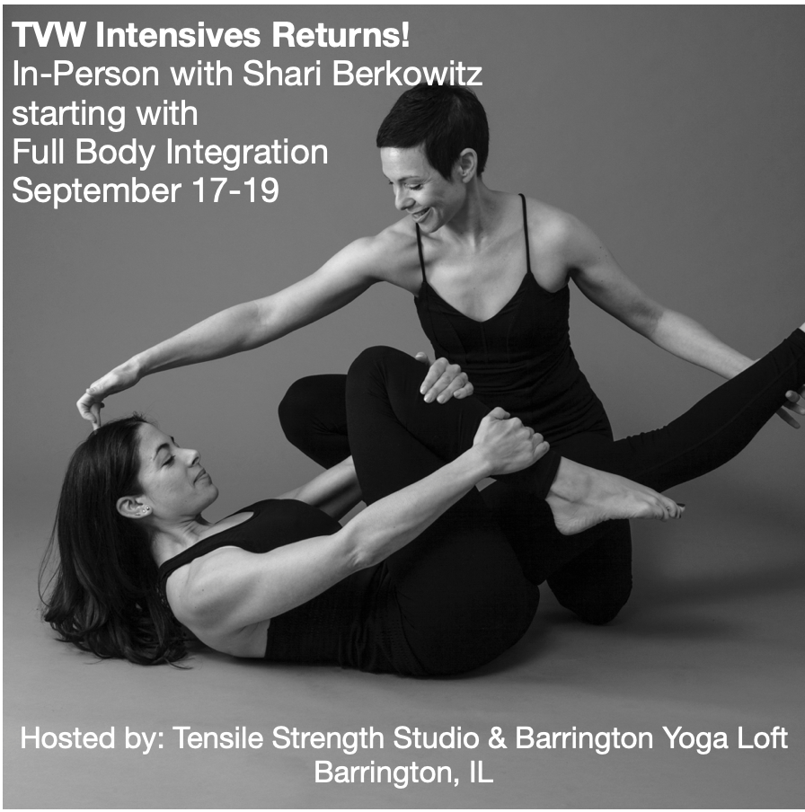 In-Person Workshops and Training, More Pay-What-You-Can Workouts with ...