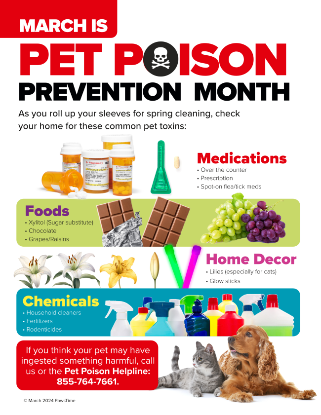 The PawsTime March Companion Email is Here