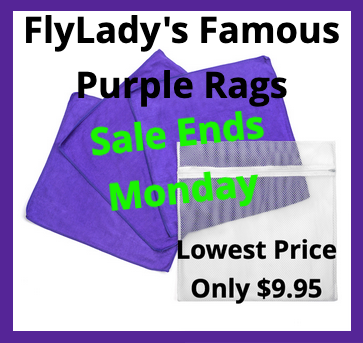 The 2024 FlyLady Calendar has Finally Arrived!