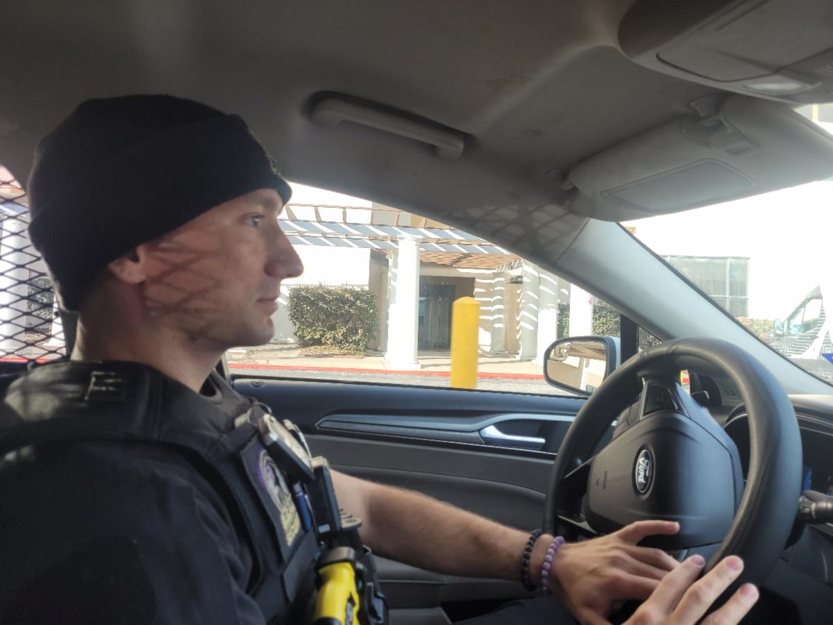 Park Progress, Patrolling and Planting