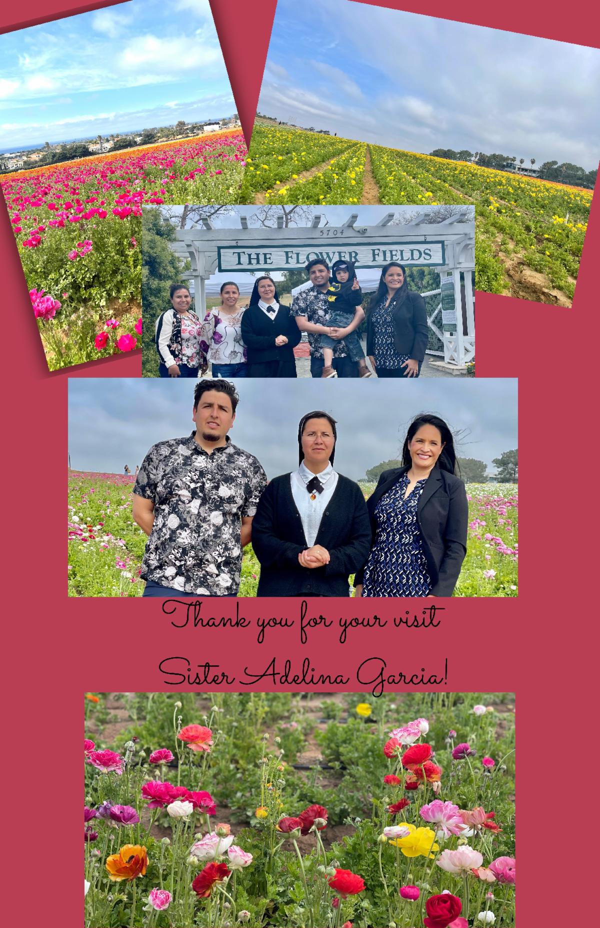 Congratulations to the NEW PALACE REALTY TEAM!