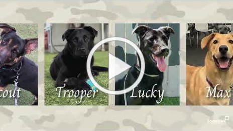 Where Branded Merch Is Headed Next (Straight from the PPAI Expo)