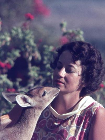 In memory of our founder, Dr. Dame Daphne Sheldrick