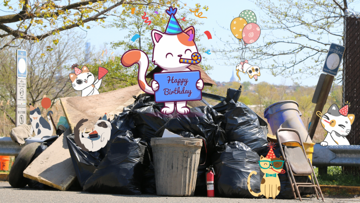 Michele Gillies' Birthday Cleanup!
