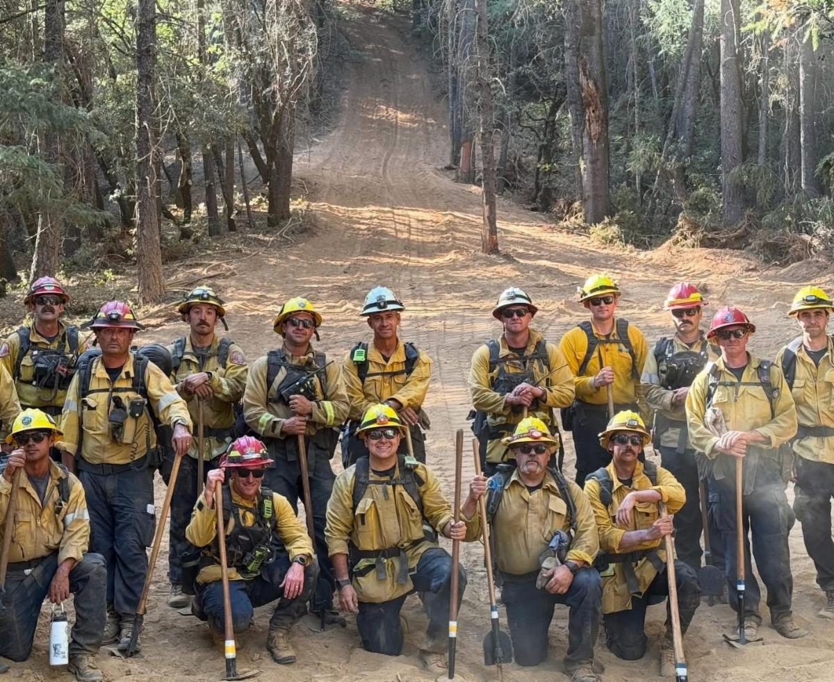 Here is August 1 edition of the City Hall Snapshot