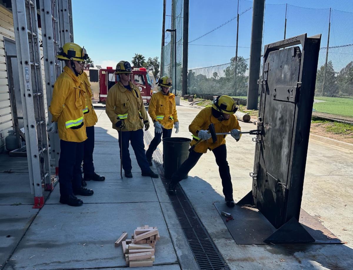 Here is Feb. 28 edition of the City Hall Snapshot