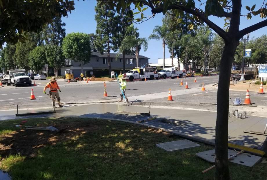 Here is this week's City Hall Snapshot