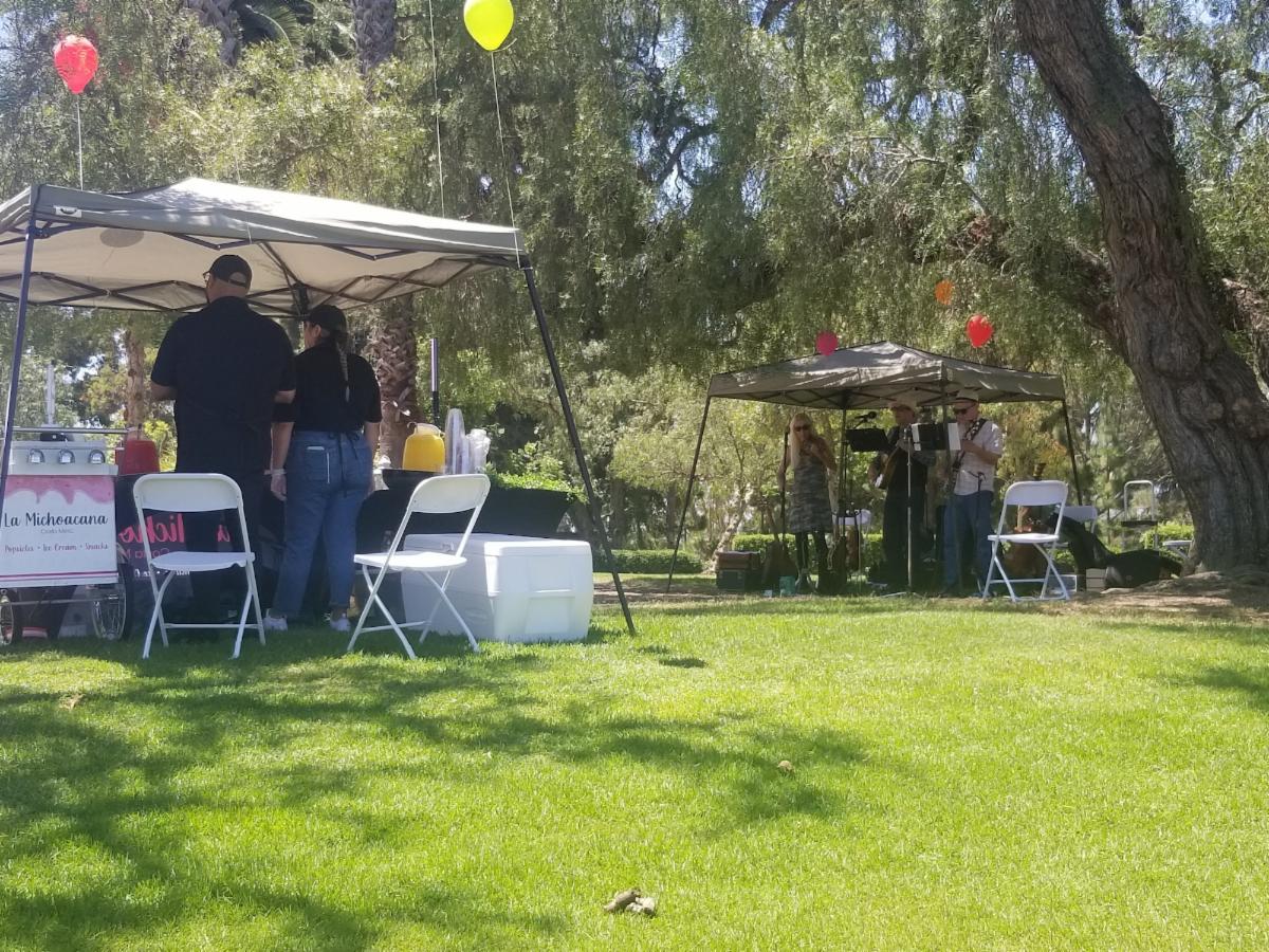 Here is this week's City Hall Snapshot