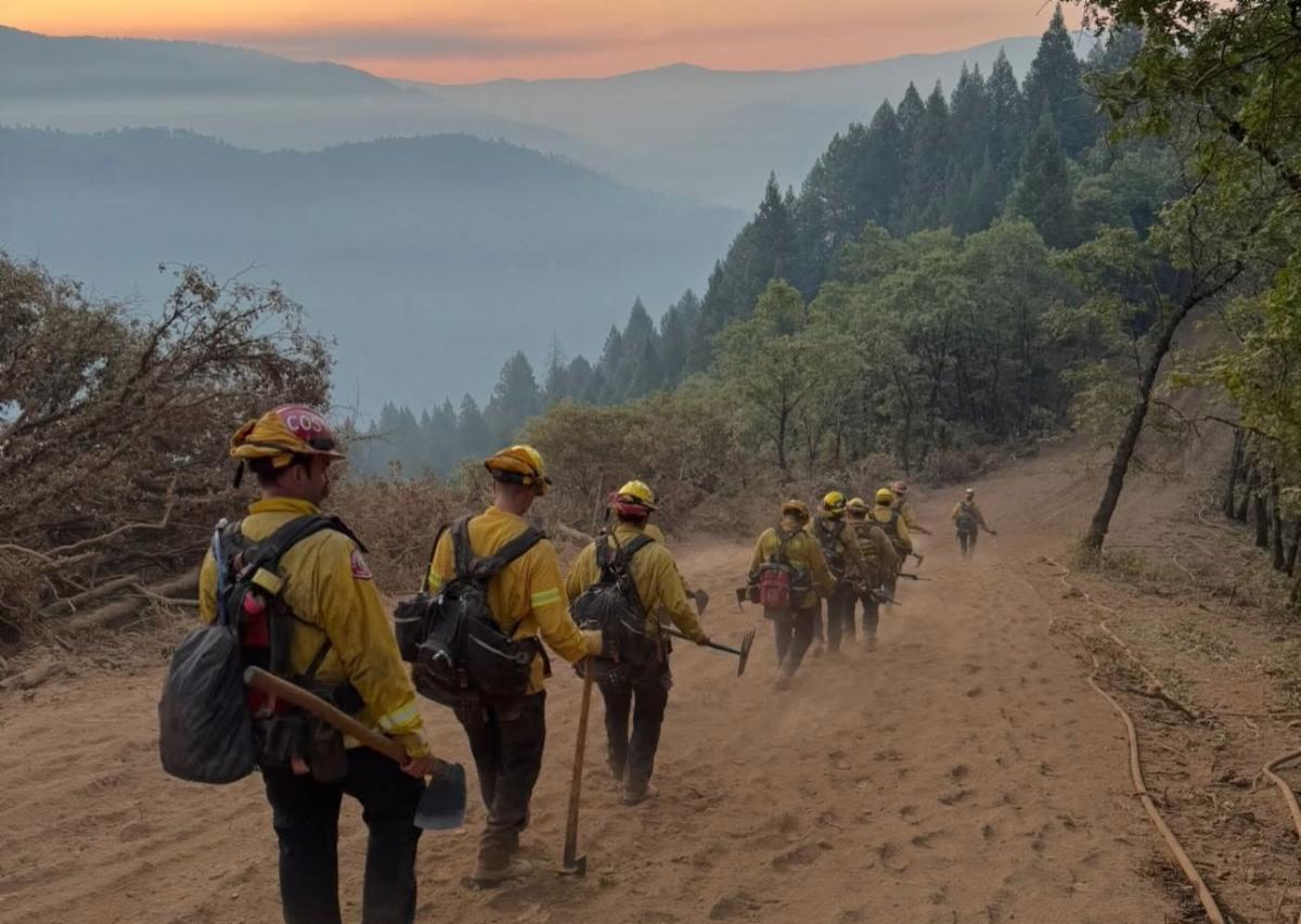 Here is August 1 edition of the City Hall Snapshot