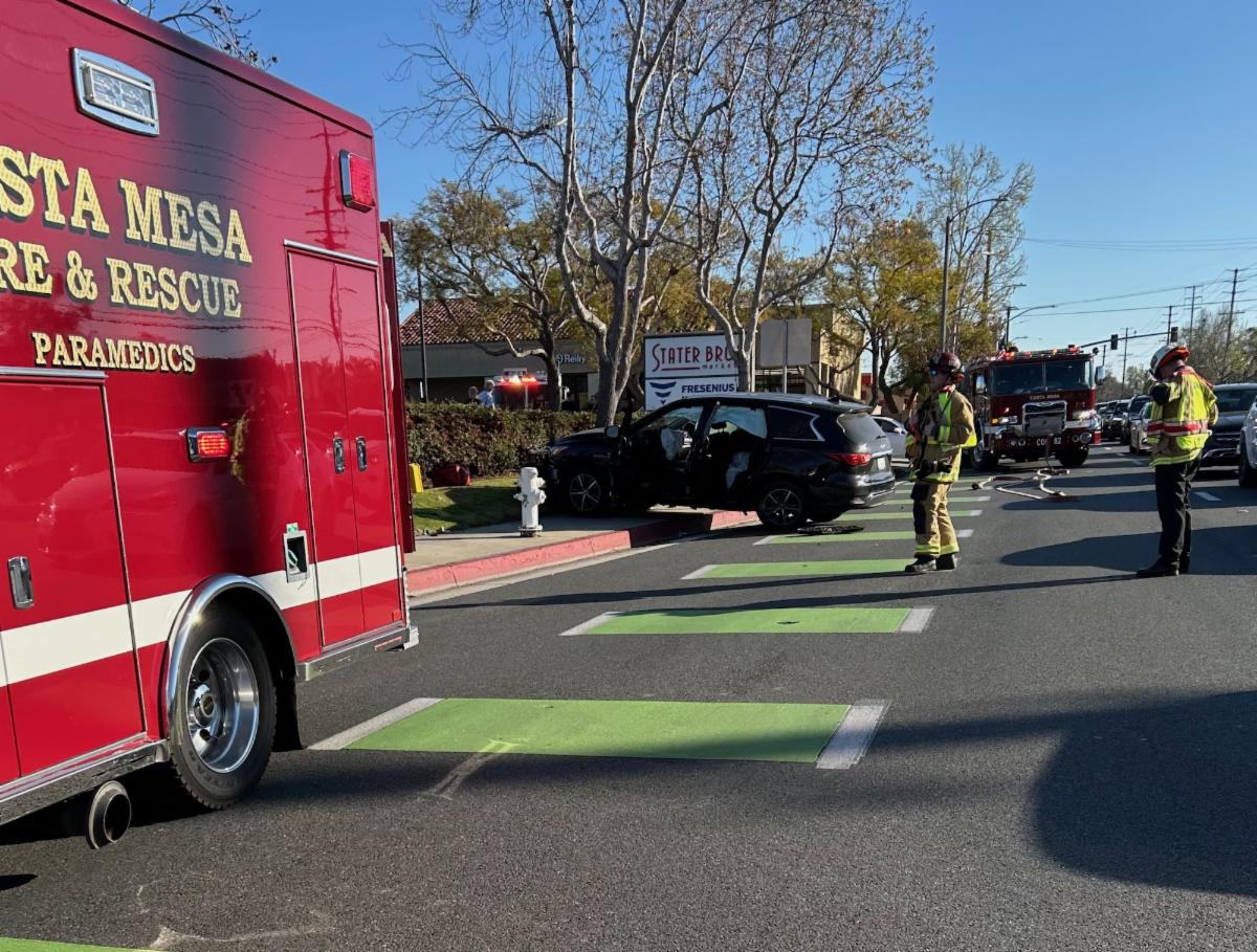 Here is Feb. 28 edition of the City Hall Snapshot