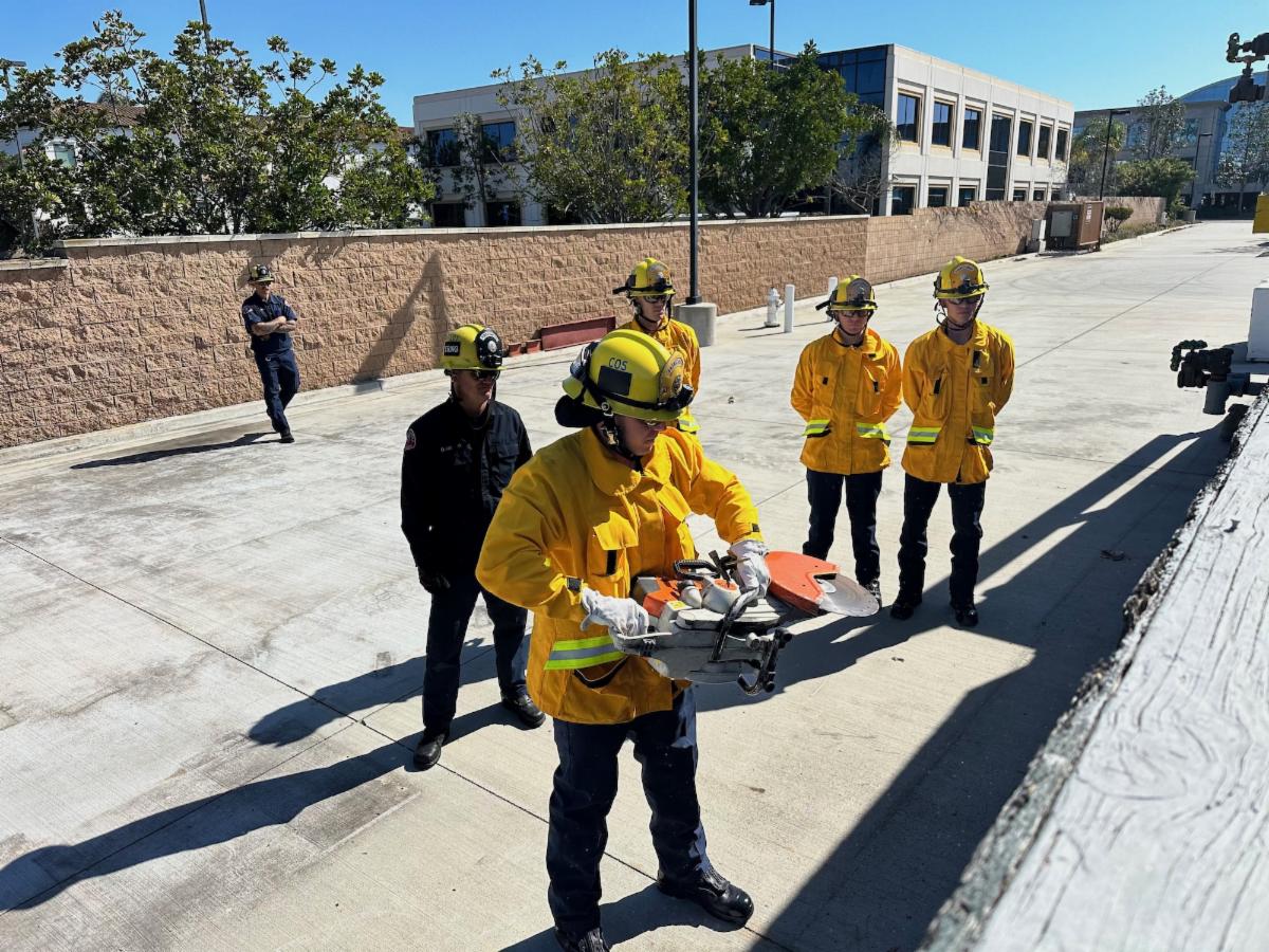 Here is Feb. 28 edition of the City Hall Snapshot