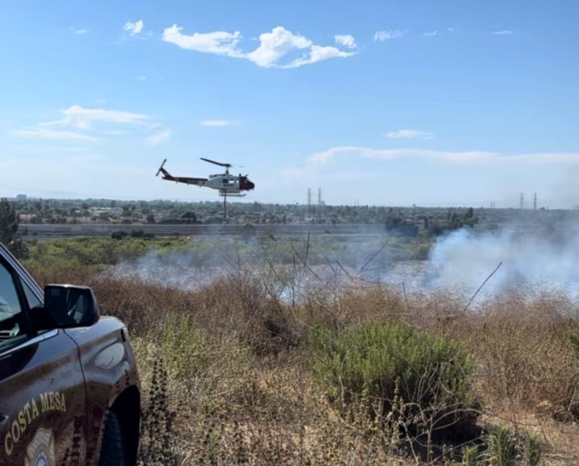 Here is the June 28 edition of the City Hall Snapshot