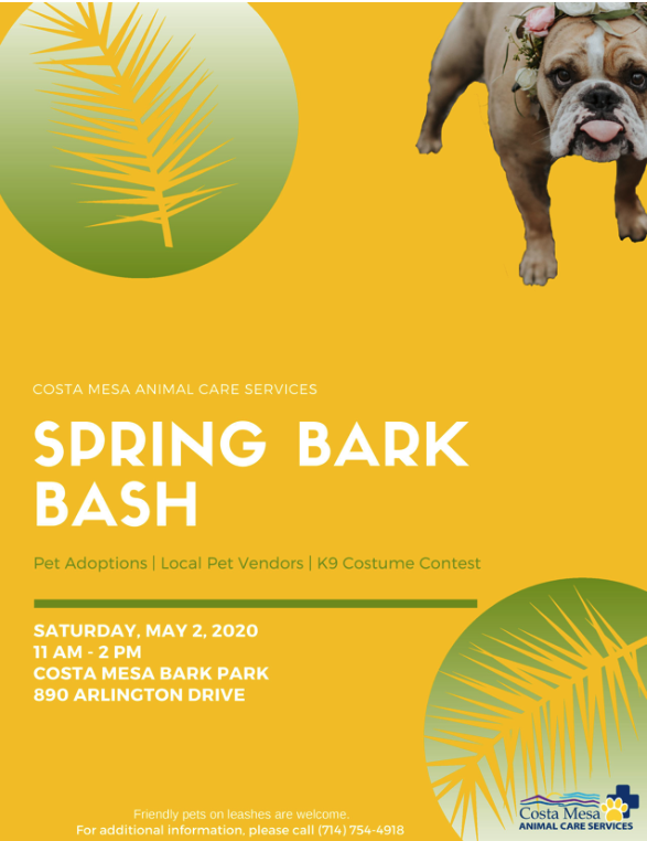 Here is this week's City Hall Snapshot