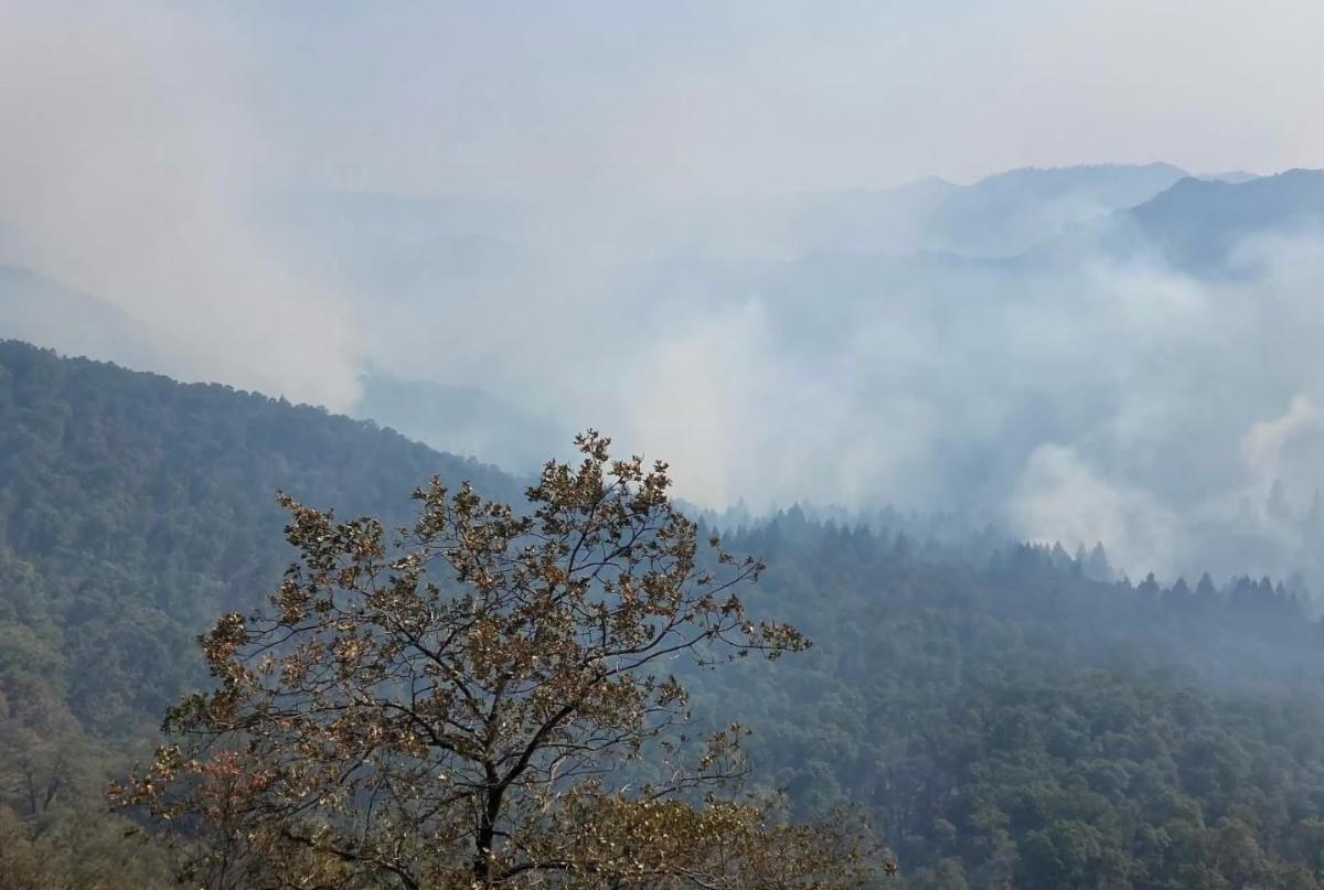 Here is August 1 edition of the City Hall Snapshot