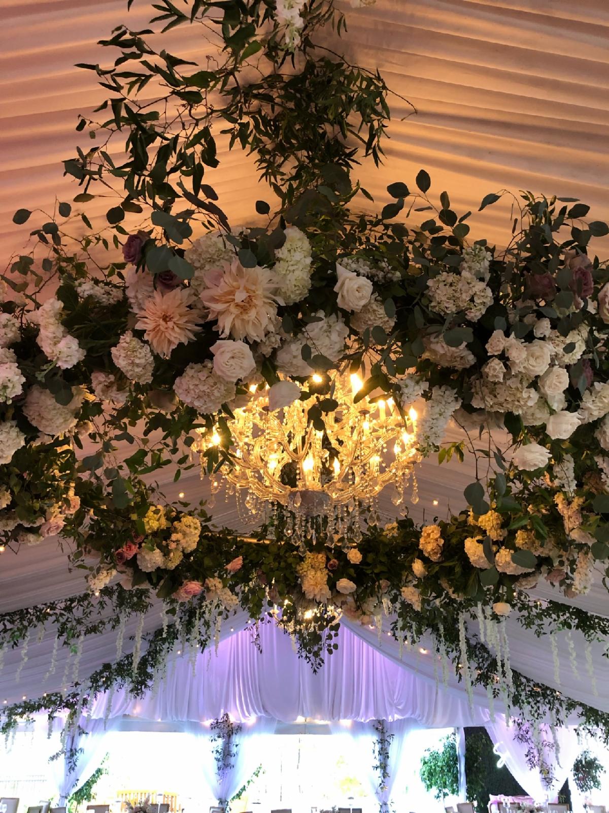 Jackson Vine is now available!