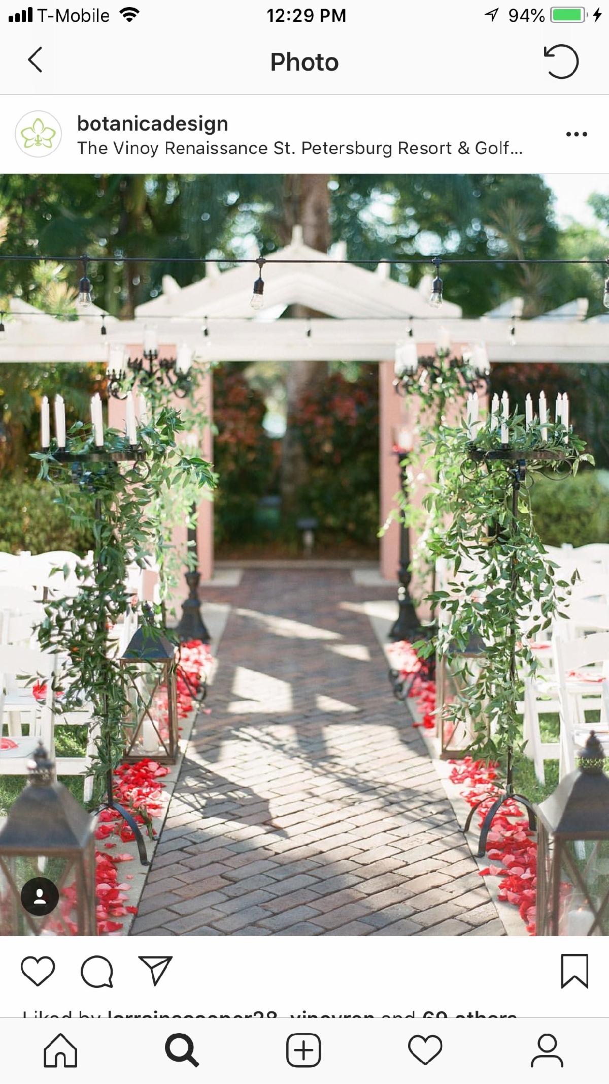 Jackson Vine is now available!