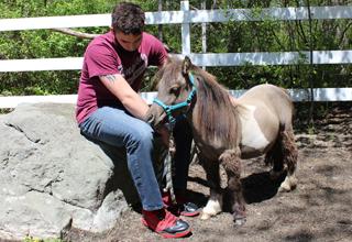 Learning Lives On at Green Chimneys