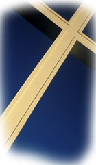 LIVE STREAMING OF ACN