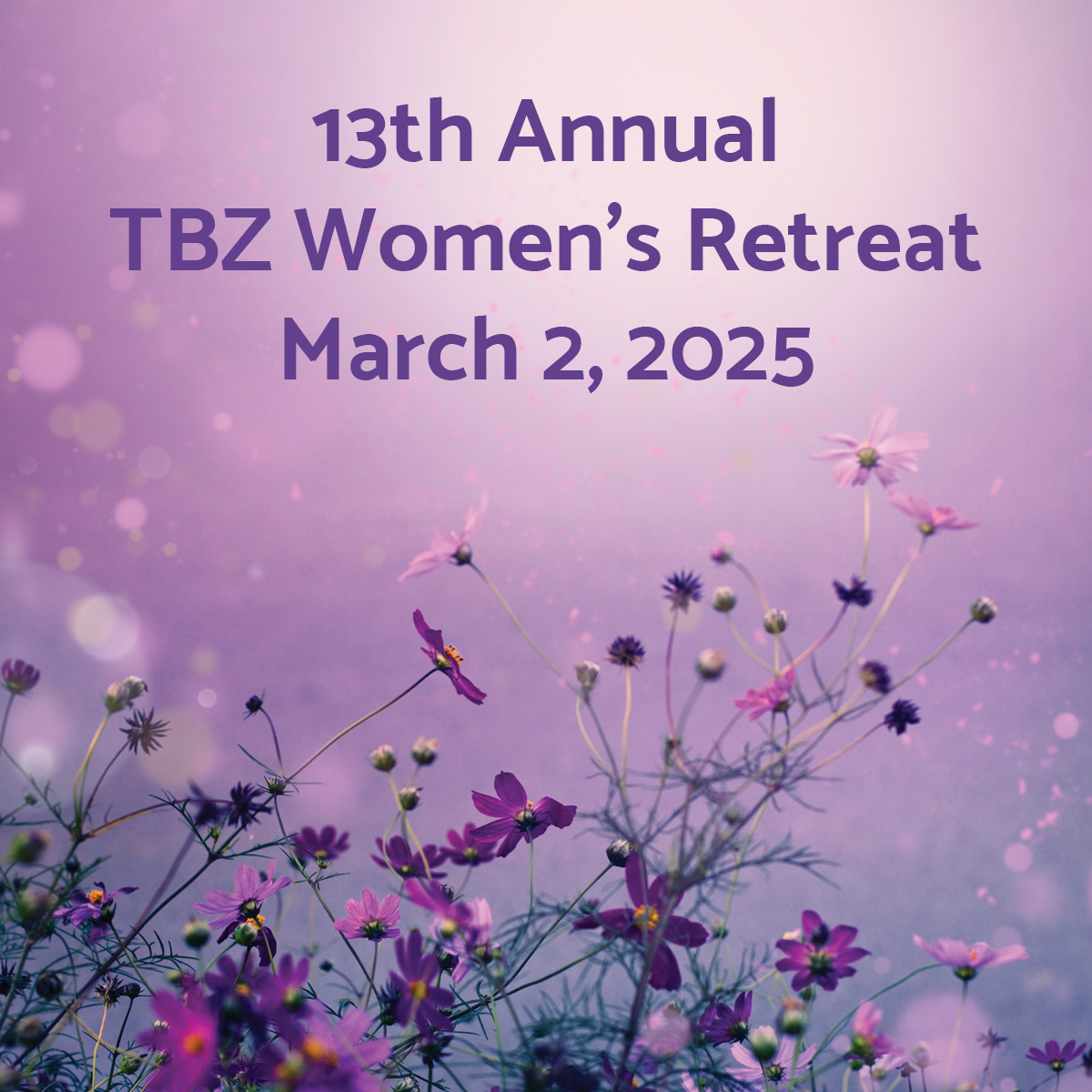 This Week at TBZ: Happenings, February 17 - 23