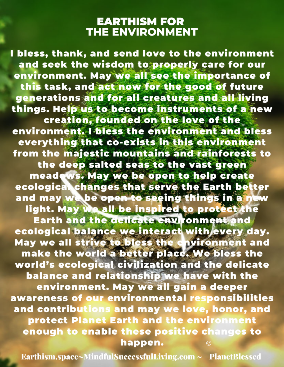 Mindful Earthism for the Environment