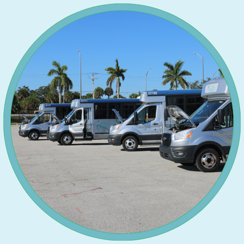 CTAA Training and Certifications - new classes posted!