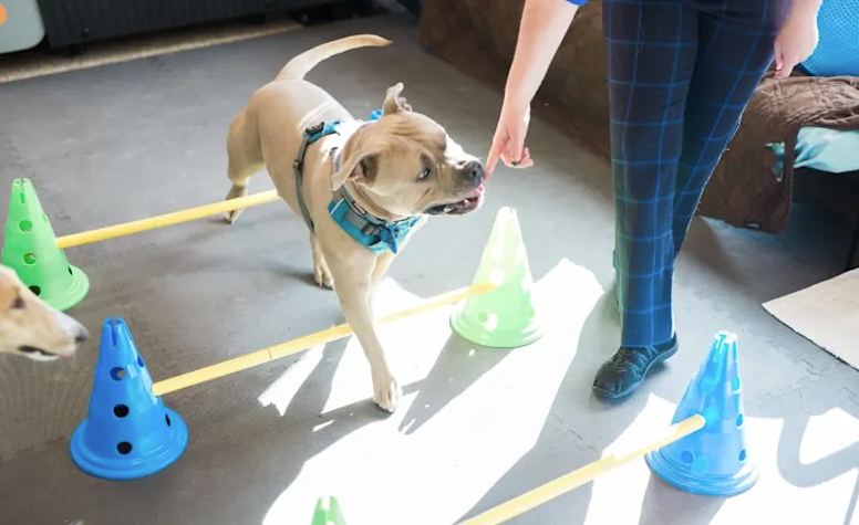 We Offer a Comprehensive Rehabilitation Program