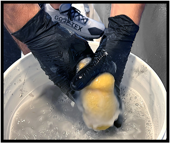 WrinGo Electric Sponge Wringer FOR HIRE!