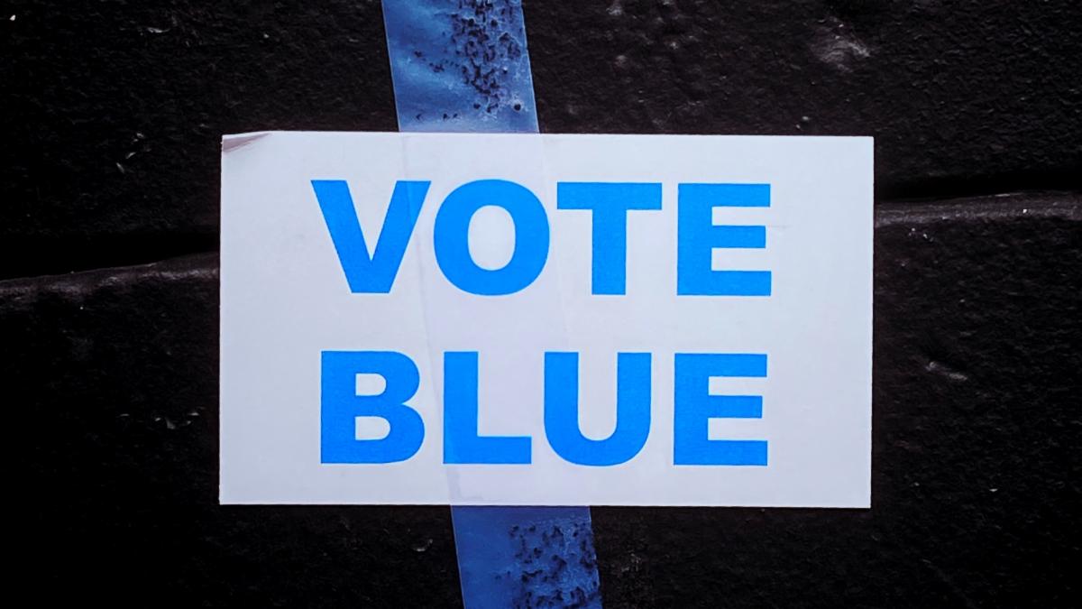 Blue Review: The Stakes of the School Board Election