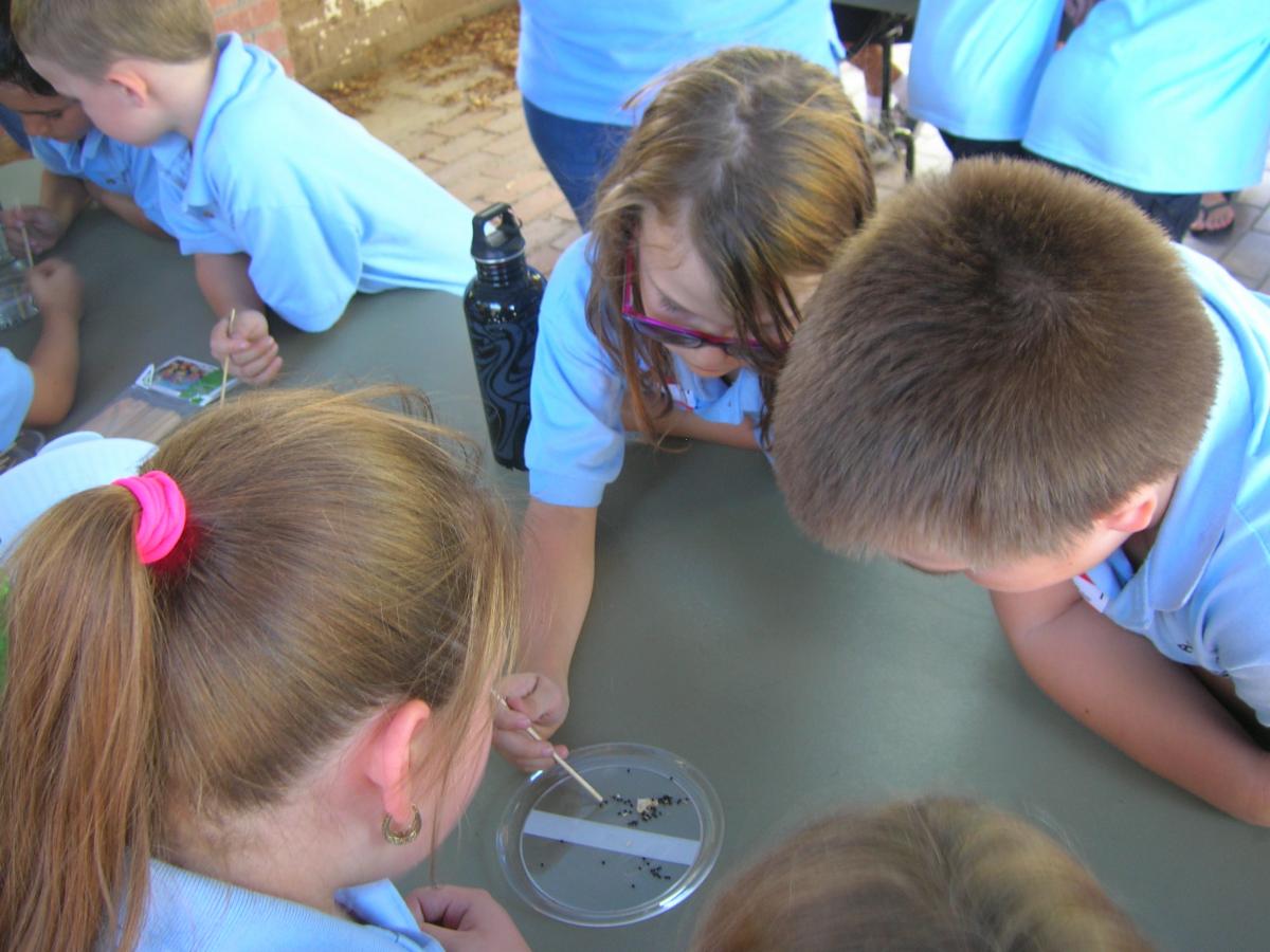 Free School Programs from Pima County Natural Resources, Parks and ...