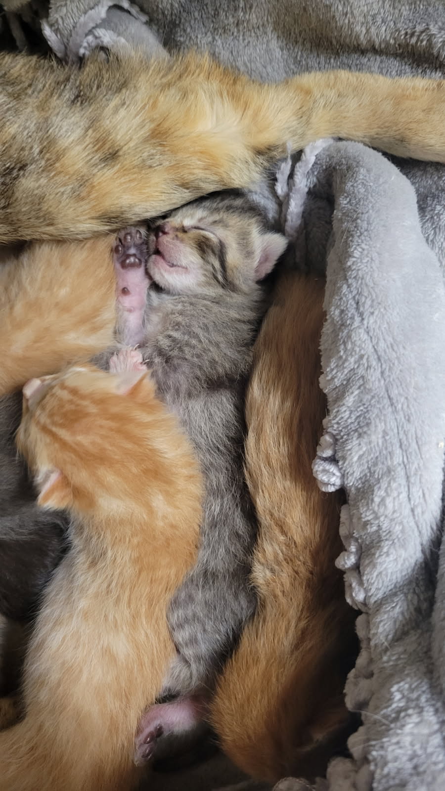 March Critter Chronicles