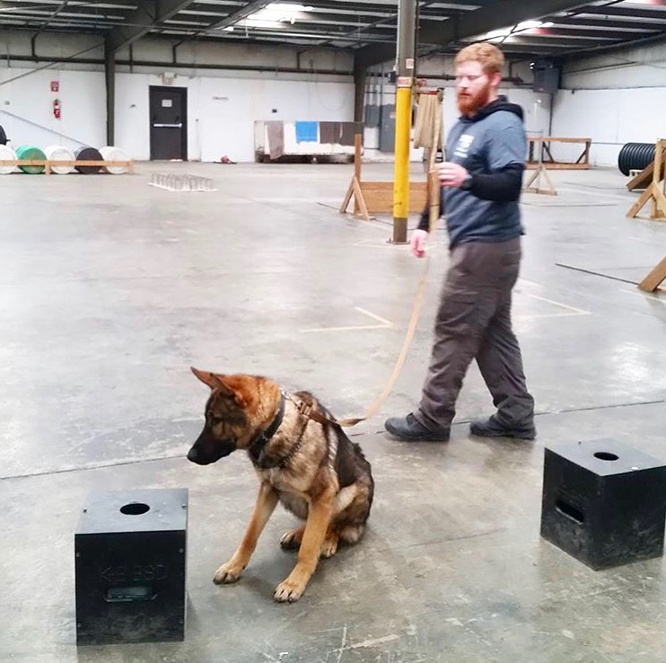 K-9 BSD NEW Products You Can Count On To Shape Your K9!