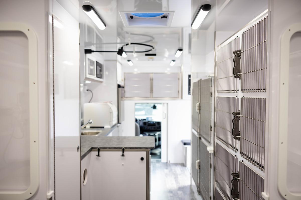 Your Support Launched S.P.O.T. - Mobile Veterinary Care for Pierce ...