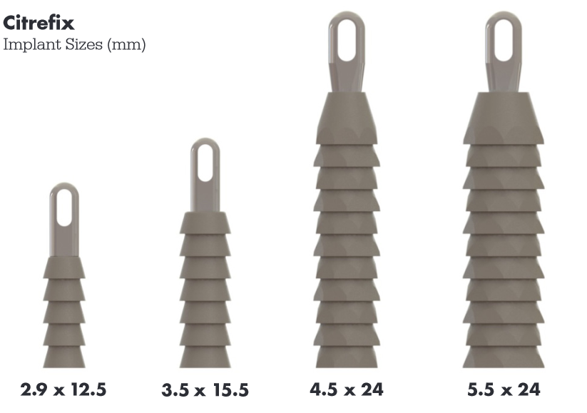 End-of-Year NEW Product Launches