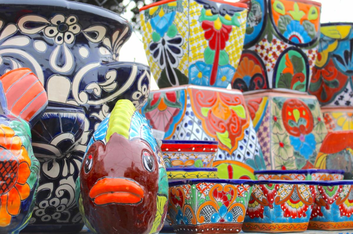 Kick Off Spring with Gardening Tips & Planting Guides