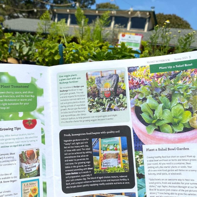 Plant a Garden Gem, Weekend Gardening & More