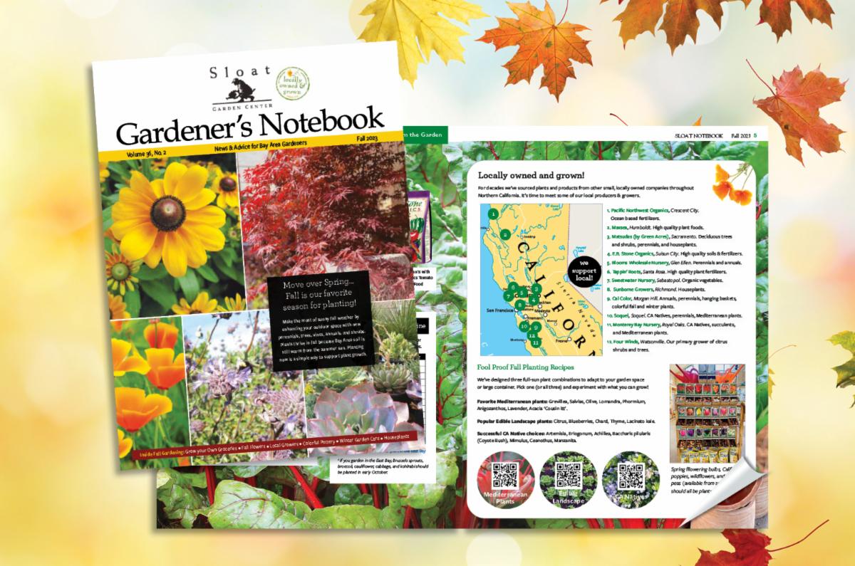 Read our Fall Gardener's Notebook