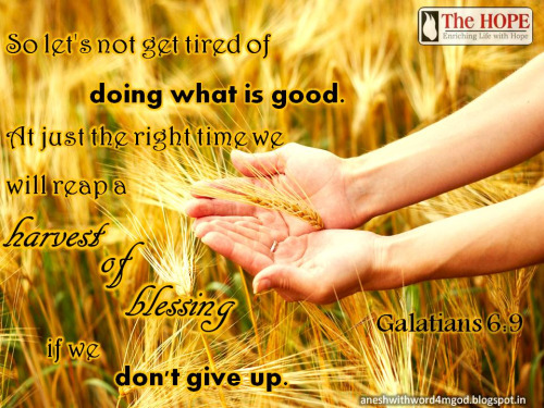 Looking Forward to God's Reward