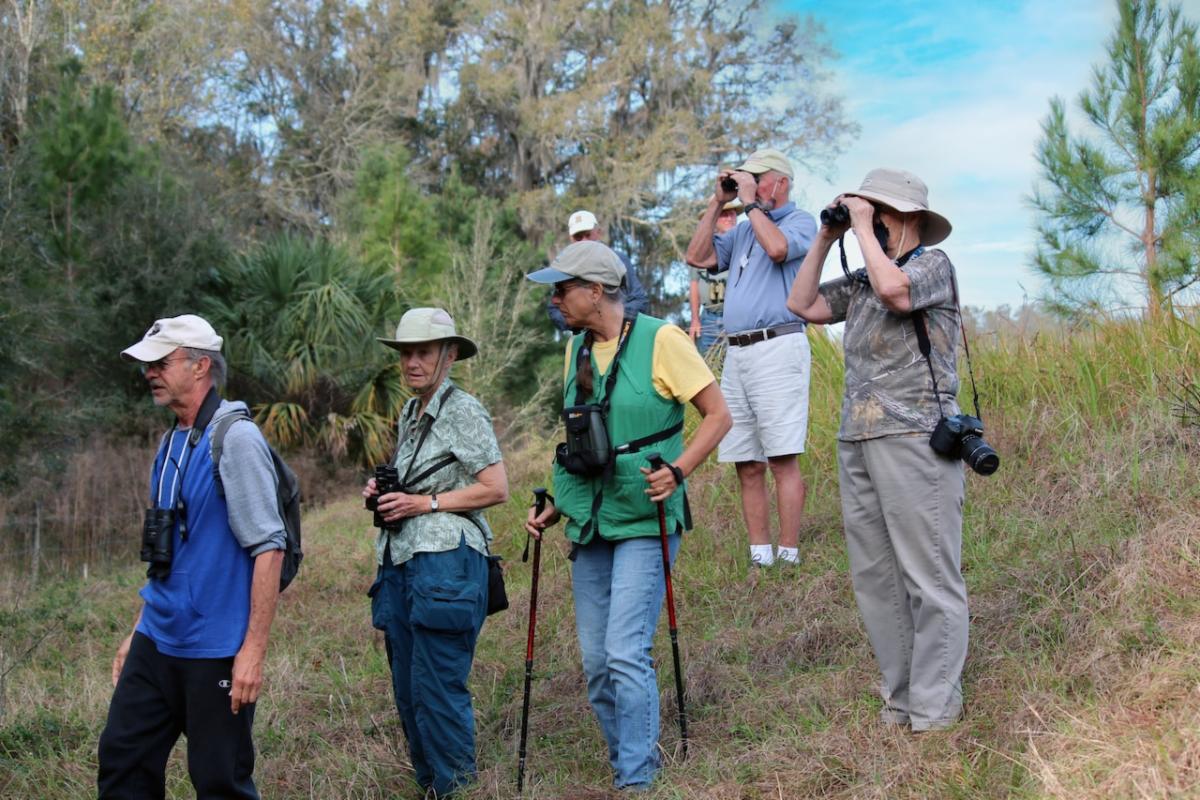 Start the New Year with Sunshine and Adventure on Florida's Adventure ...