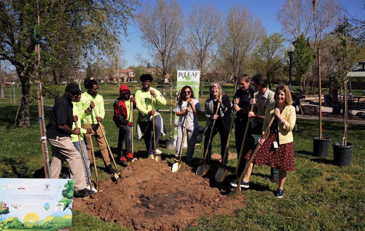 California Urban Forestry News and Updates