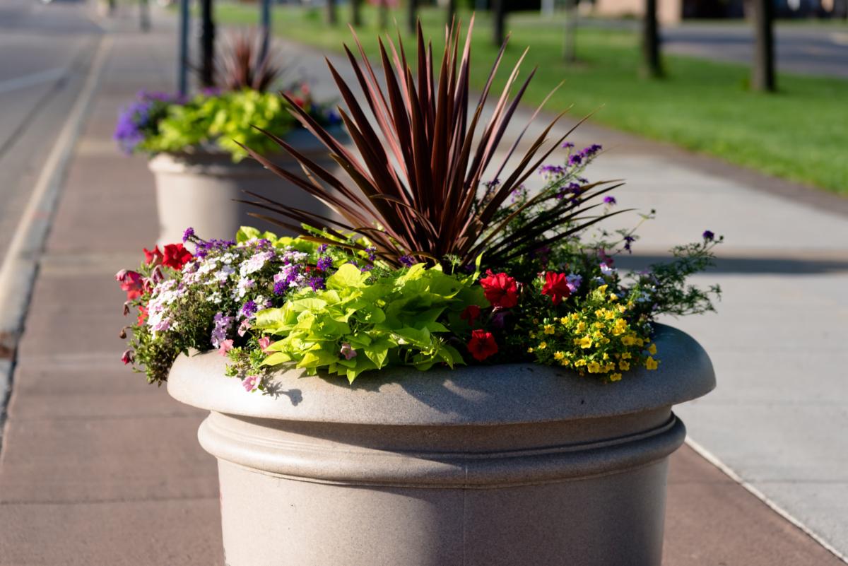 Brighten Up Sidewalks