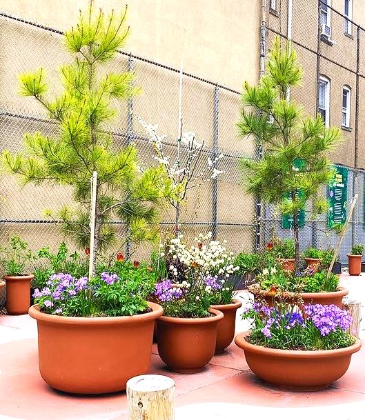 Enhancing Sustainability with Downspout Planters
