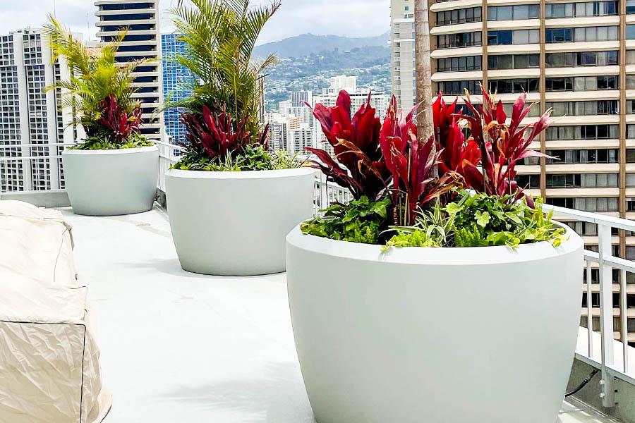 Planter Materials 101