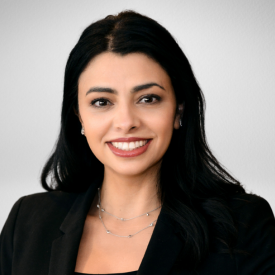 The Art of Legal Writing